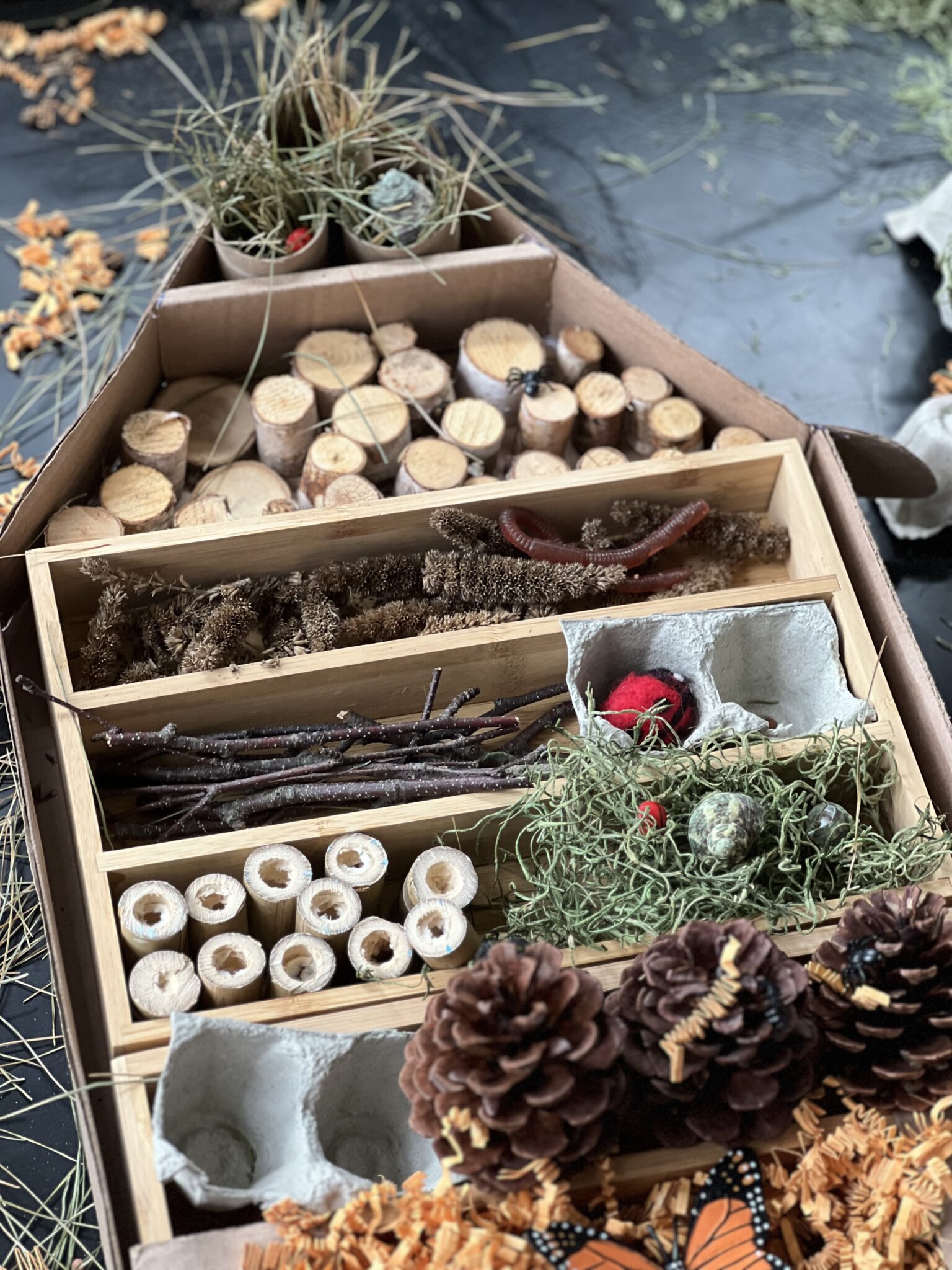 Build a Bug Hotel Activity for Kids – A House of Play