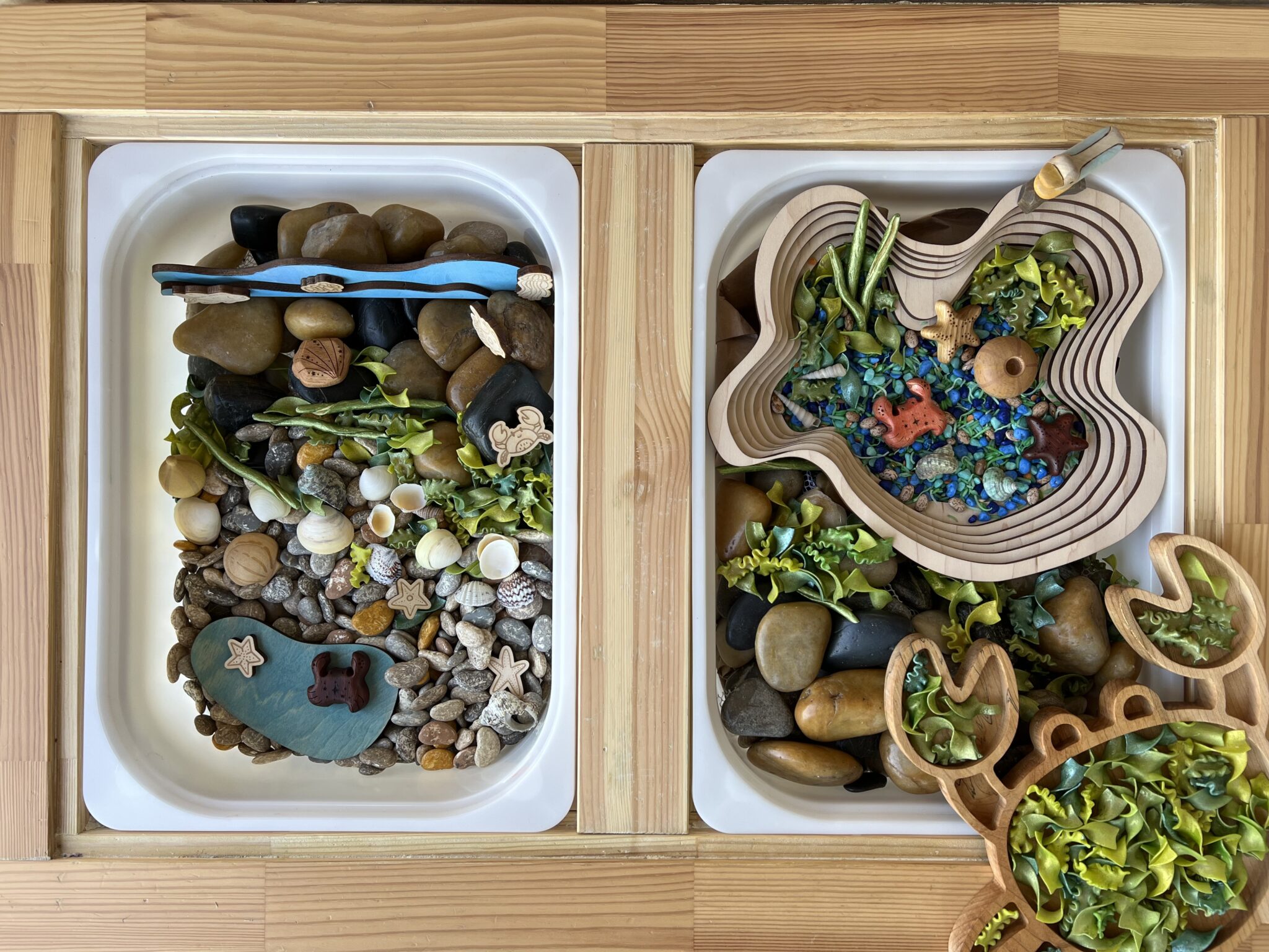 Ocean Themed Sensory Activities for Kids – A House of Play