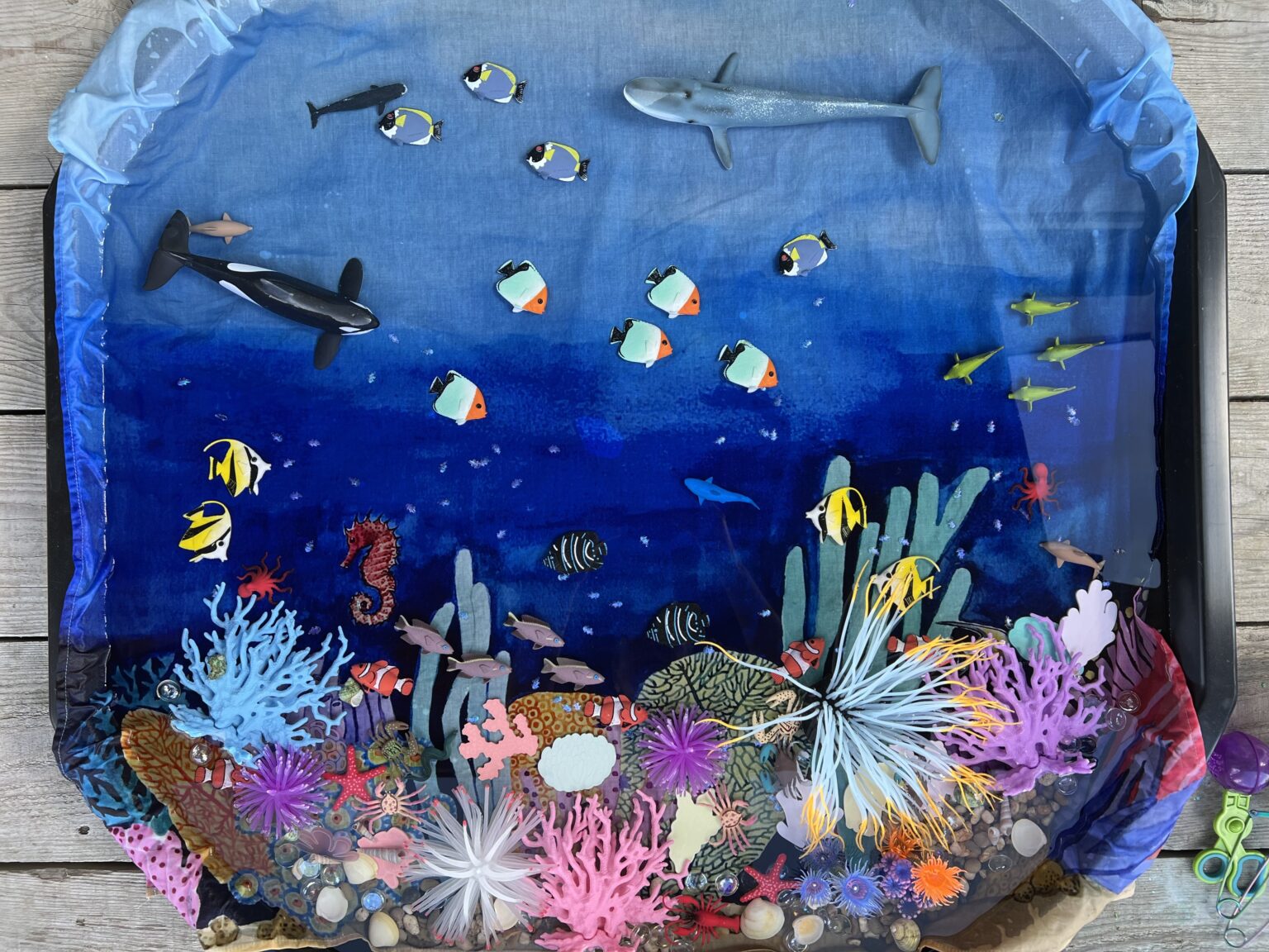 Ocean Themed Sensory Activities for Kids – A House of Play